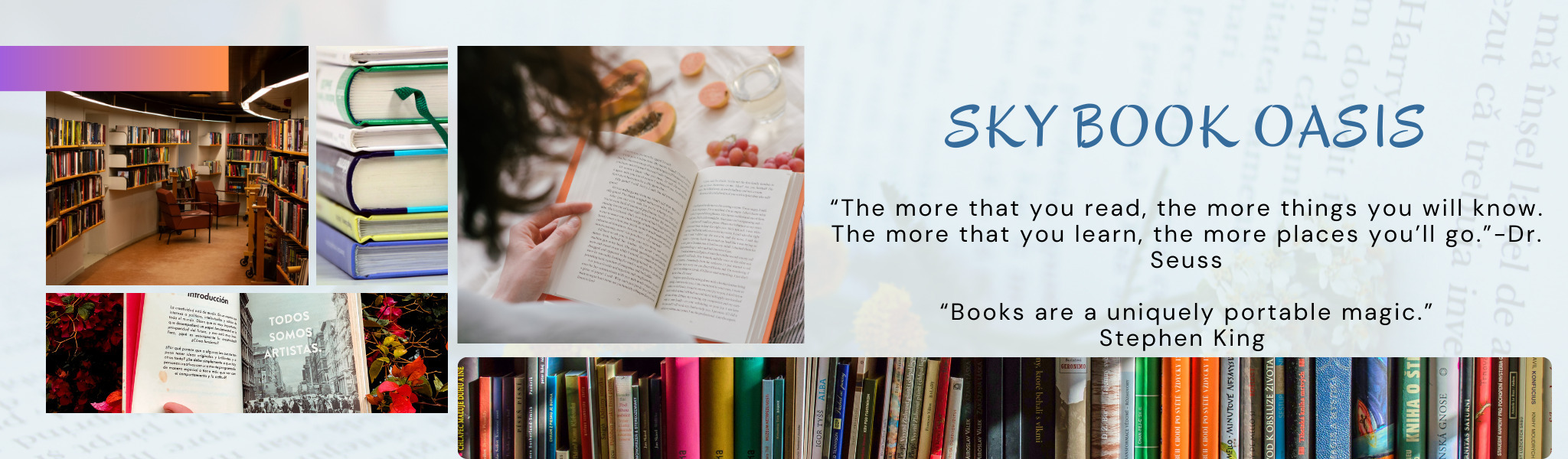 SKY Book Oasis Bookshop