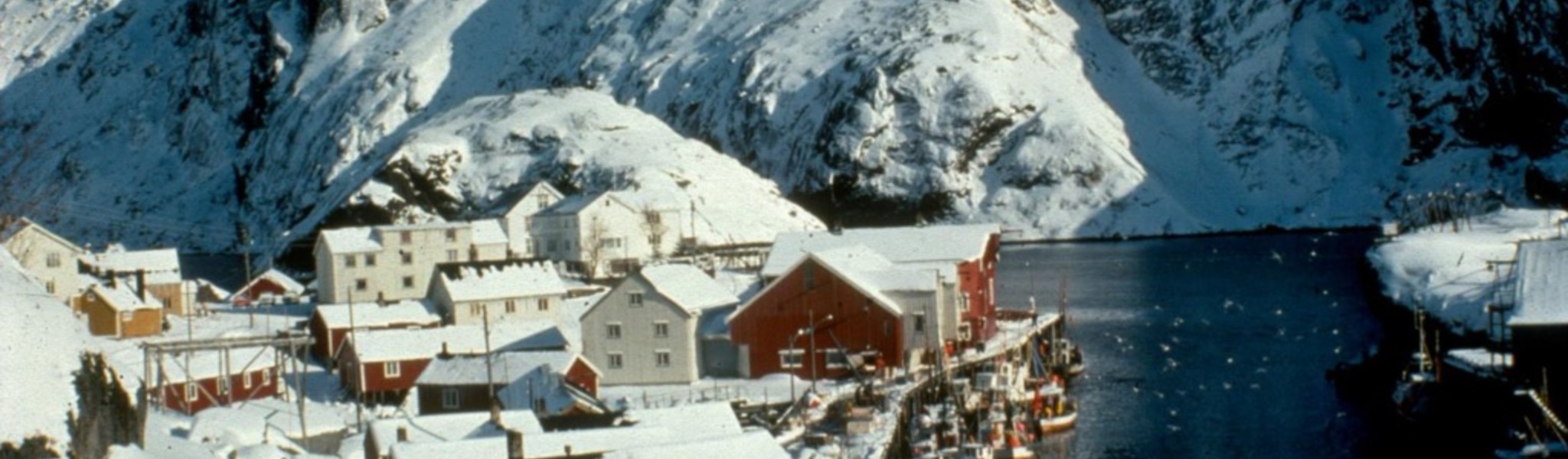 Fjeld Books Bookshop