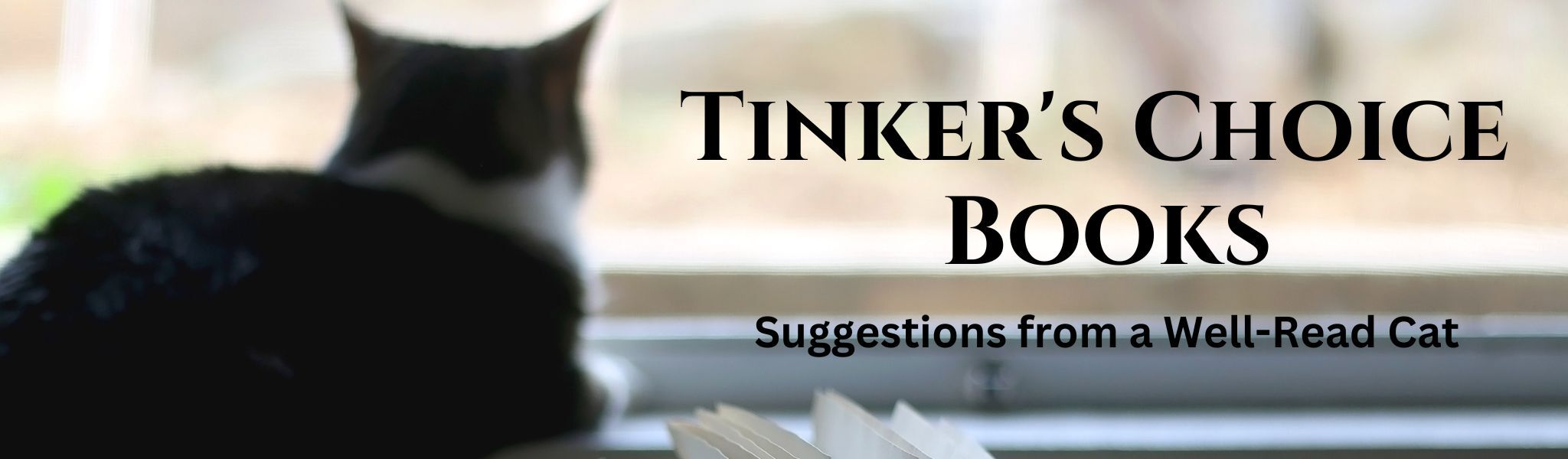 Tinker's Choice Books Bookshop