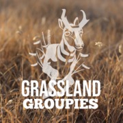 Grassland Groupies Bookshop
