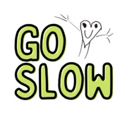 Go Slow Studio Bookshop