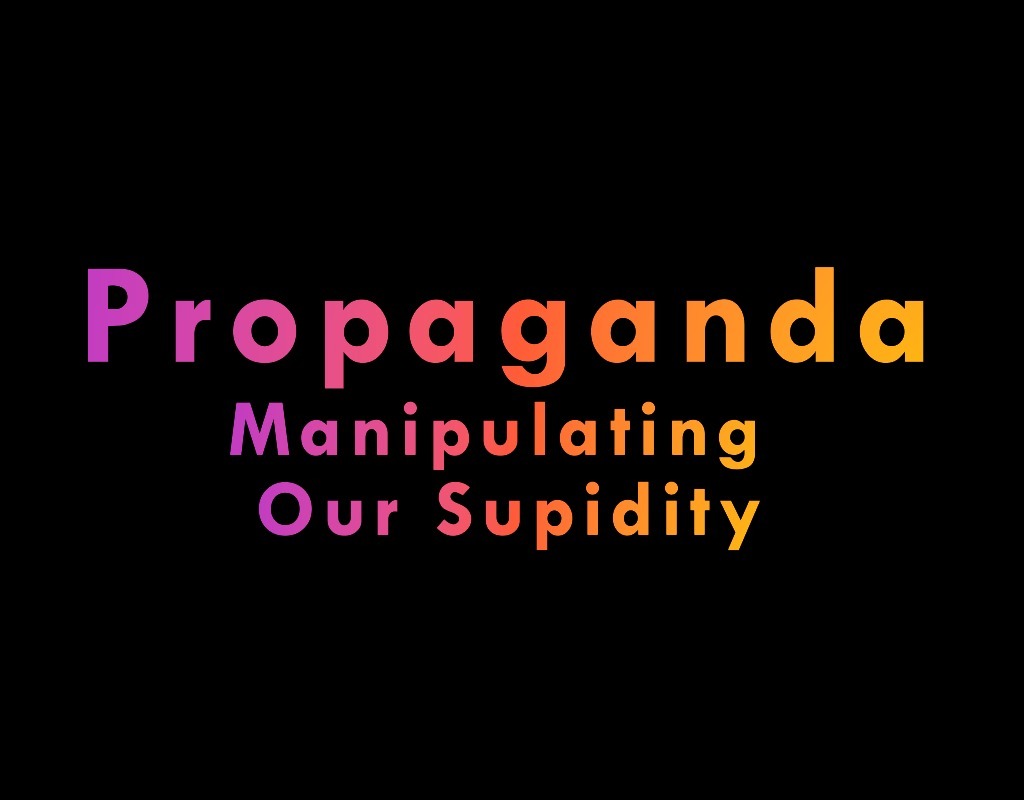 How Propaganda & Misinformation Divide and Conquer - Bookshop.org